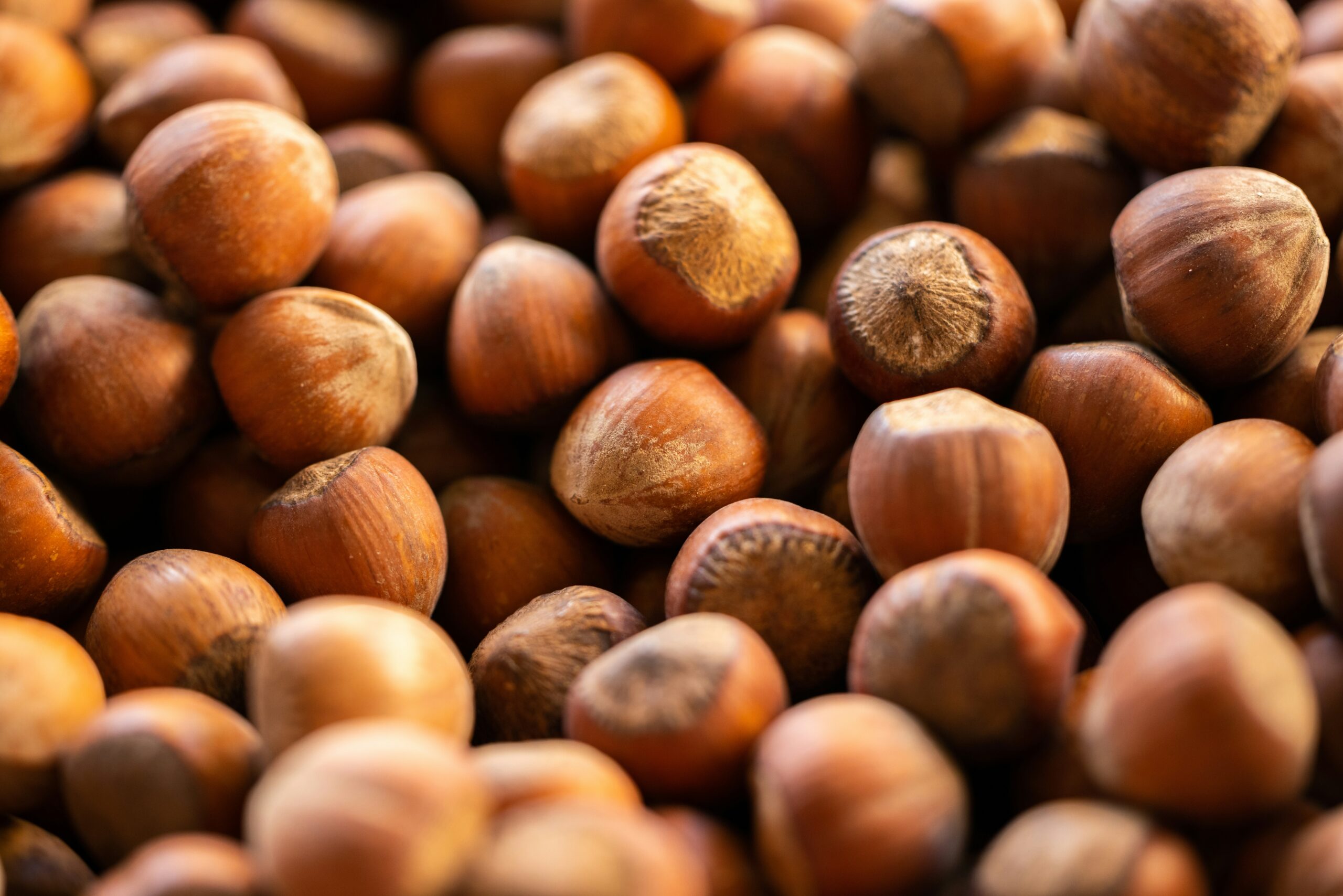 Surprisingly Health Benefits of Hazelnuts